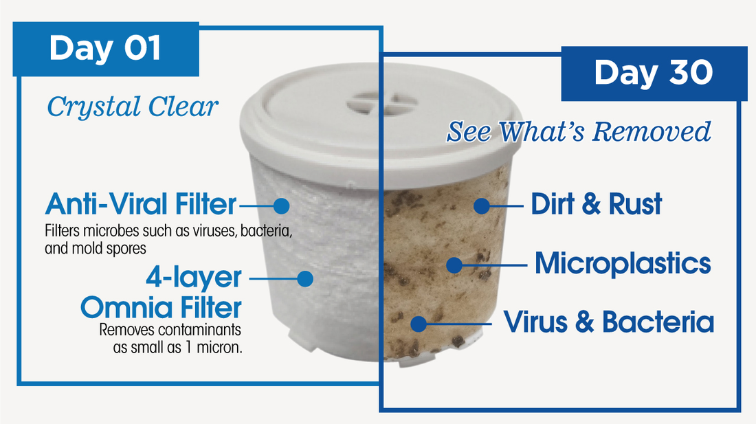 Be Healthy iBlue Pro Portable Anti-viral Omnia Replacement Filter (2pc ...